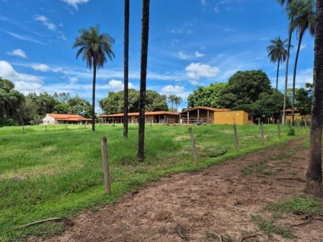 HARAS NO GAMA QUE PODE CRIAR GADO TAMBÉM 10.5 HECTARES DOCUMENTAÇÃO 100%! Pode virar Hotel fazenda!