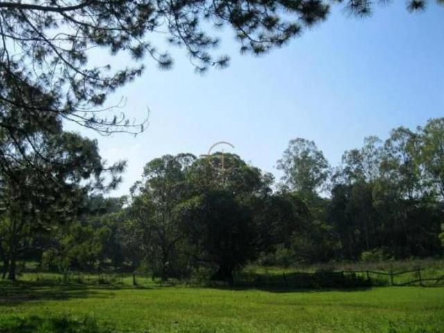 HARAS,PORTO ALEGRE