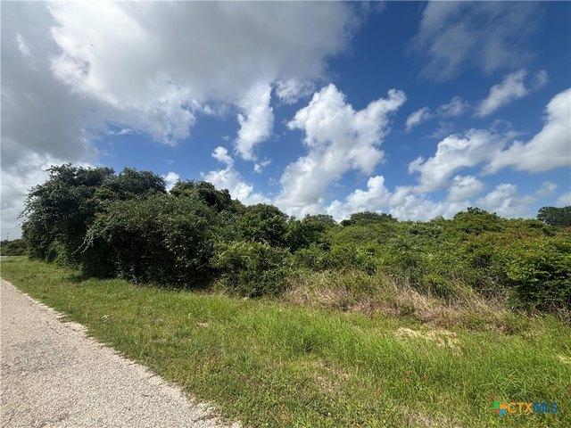 Harbor 9526 Acres Rd Lot 1, Seadrift, TX 77983