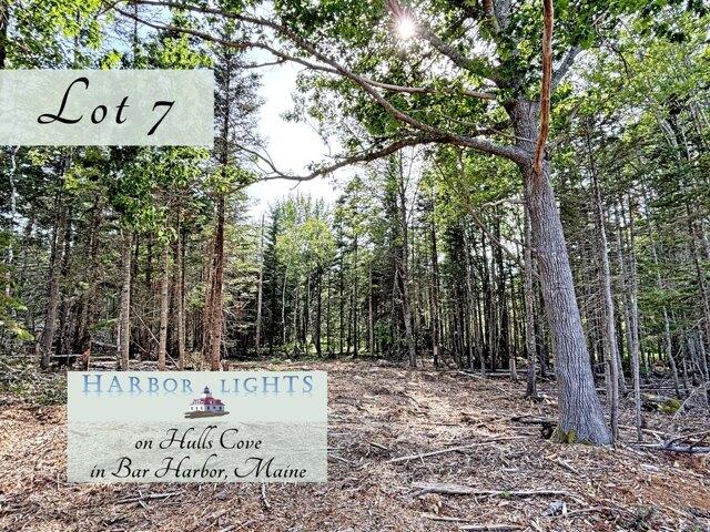 Harbor Lights Rd, Bar Harbor, Plot For Sale