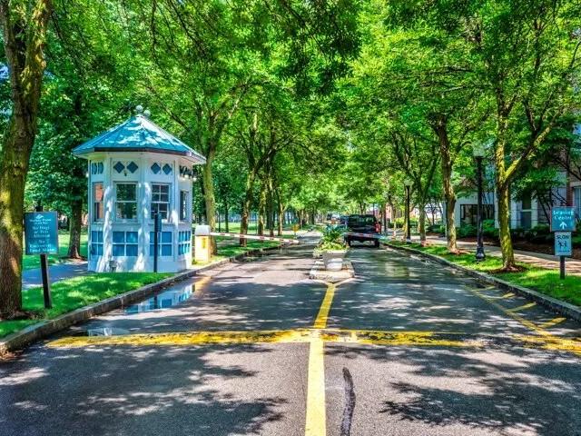 Harbor Point 2 Bedroom Apartment for Rent at 24 Oyster Bay Rd, Boston, MA 02125 Columbia Point