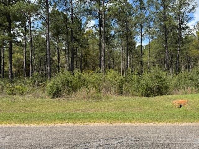 Harbor Rd Lot 97, Andalusia, AL 36421