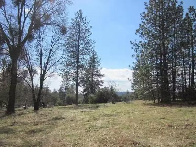 Hard Times Ranch Rd, North Fork, CA 93643