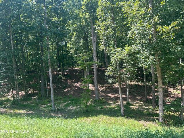Hard Wood Court 30, Oneida, TN 37841