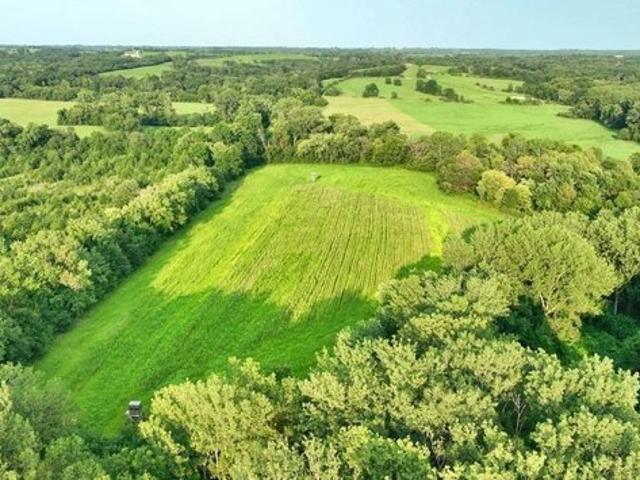 Hardester Pl, Princeton, MO 64673