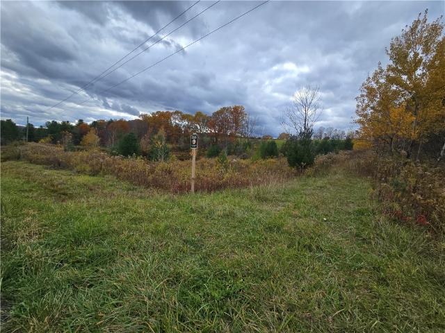 Hardknocks Rd, Unadilla, NY 13849 | MLS #R1647