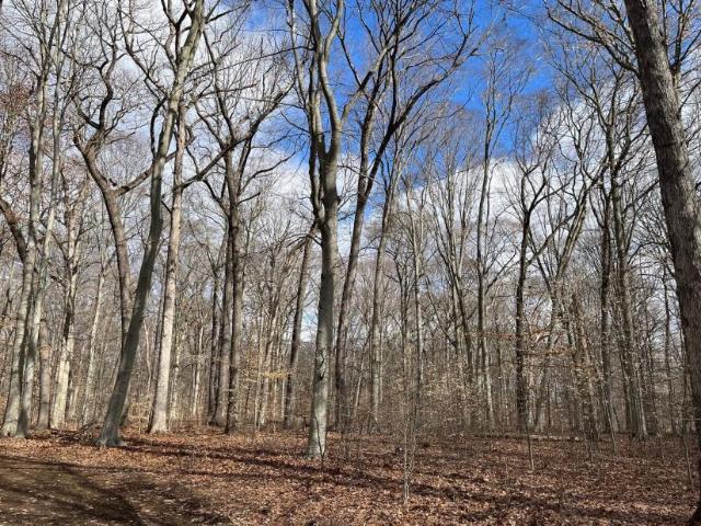 Harding Twp. NJ 07976 101341111