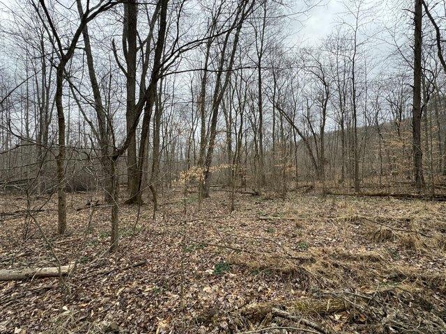 Hardwood Rd, Hillsboro, KY 41049
