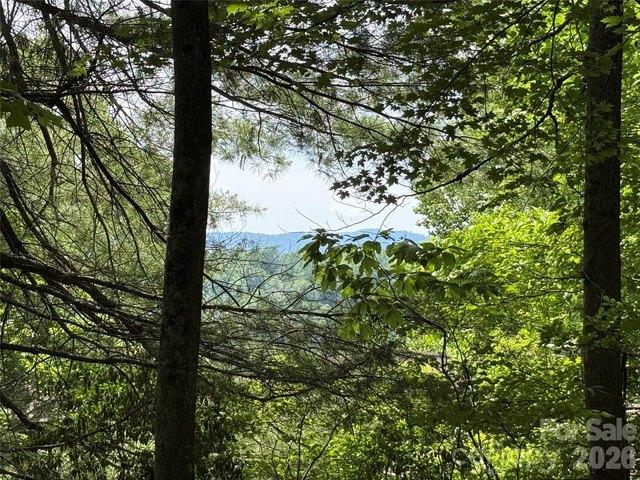 Hardwood Summit Dr Unit 191, Hendersonville, NC 28739