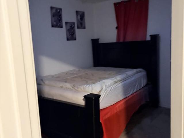 Hardworking roommate wanted