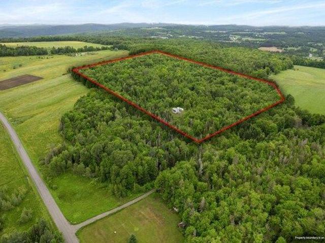 Hardwick VT 05843 LS101800621