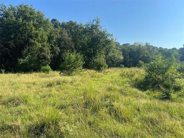 Hardy Bottom Rd, Huntsville, TX 77340