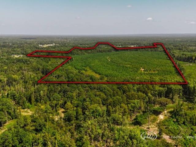 Hardy Rd, Georgetown, MS 39078