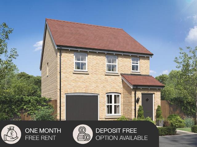 Harebell Meadows, Stockton TS21, 3 bed semi detached house to rent, £1,055 pcm | PrimeLocation