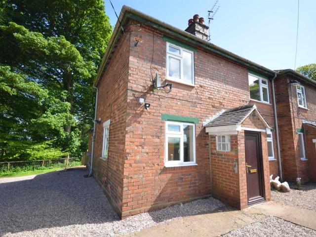 Harley Thorn Lane, Beech