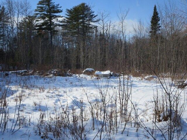 Harmon St Lot, Milo, Plot For Sale