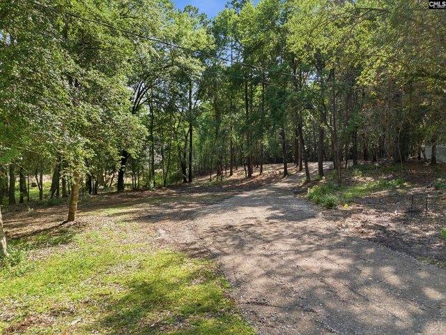 Harmon St, Lexington, SC 29072
