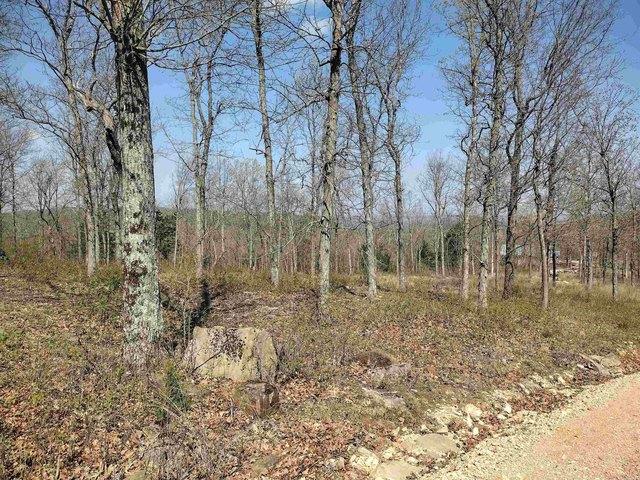 Harness Rd, Mountain View, AR 72560