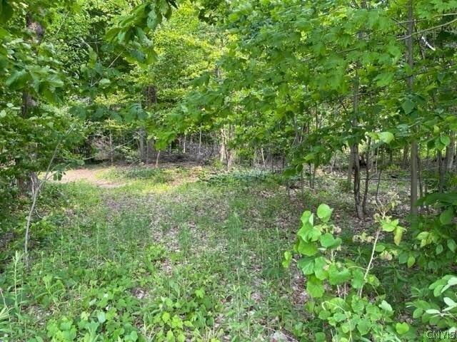 Harp Rd, Canastota, Plot For Sale