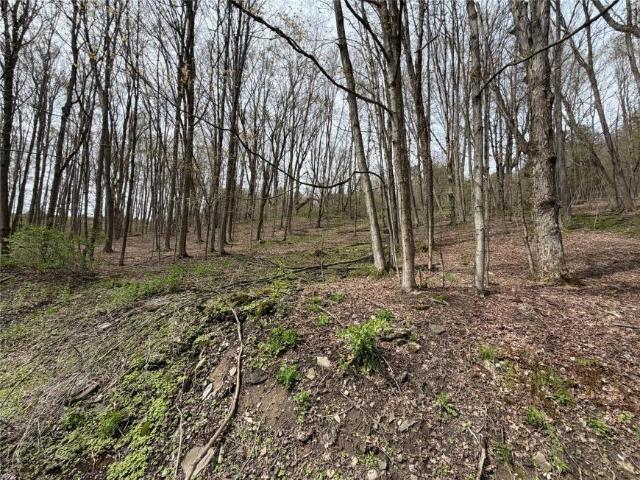 Harpursville NY 13787 101688241