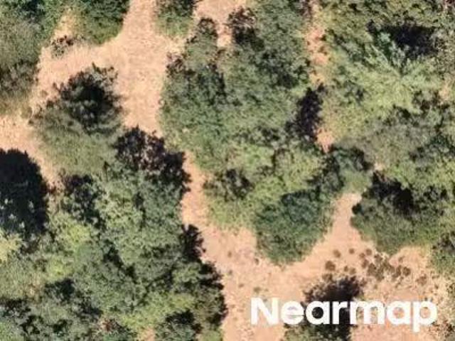 Harrington Flat Rd