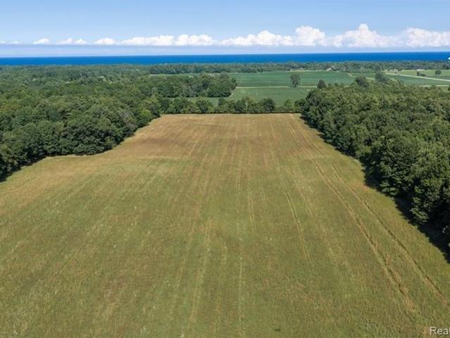 Harrington, Lexington, MI 48422