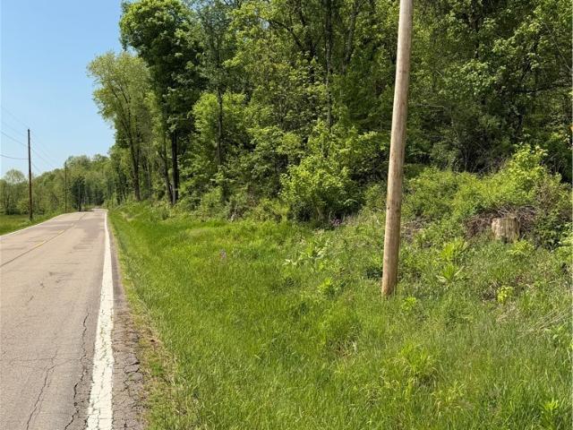 Harrietsville SR 145 Road