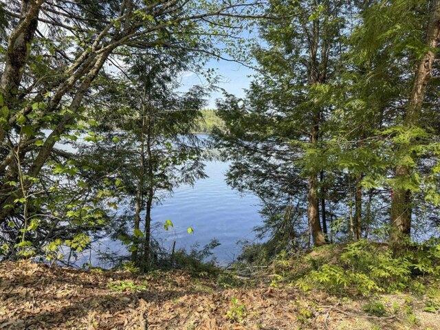 Harrisville NH 03450 104543459