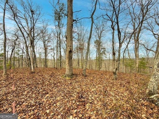 Harris Creek Dr Lots 156 & 157, Ellijay, GA 30540