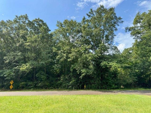 Harris St, Pine Mountain, GA 31822