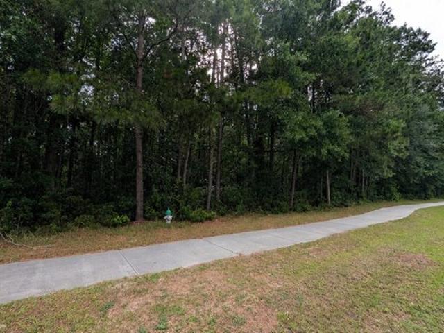 Harris Trail Rd, Richmond Hill, GA 31324
