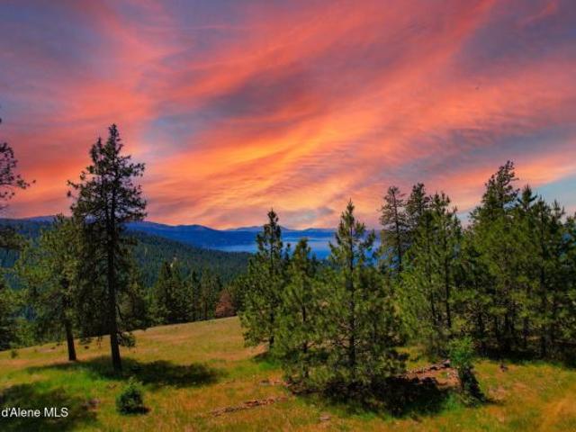 Harrison ID 83833 85390379