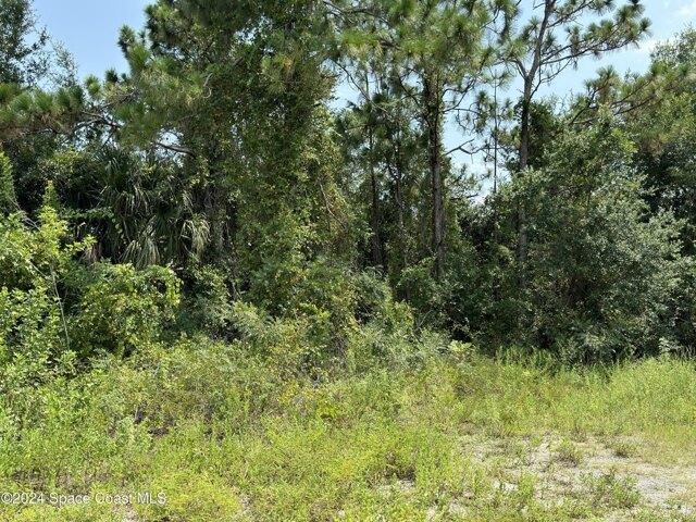 Harrison St, Titusville, Plot For Sale
