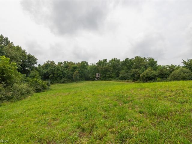 Harrons Ridge Road