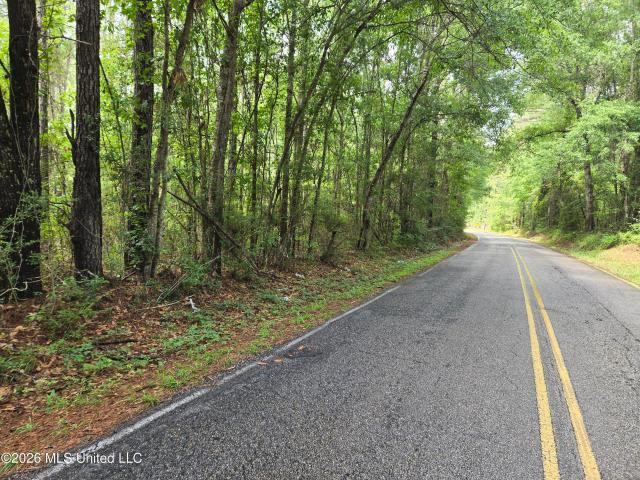 Harry Sones Road, Carriere, MS 39426