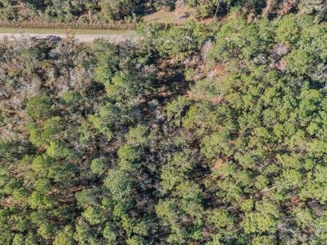 Hastings FL 32145 104899784