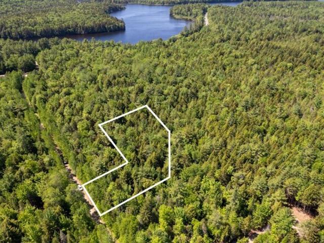 Hasbro Rd, Millinocket, Plot For Sale