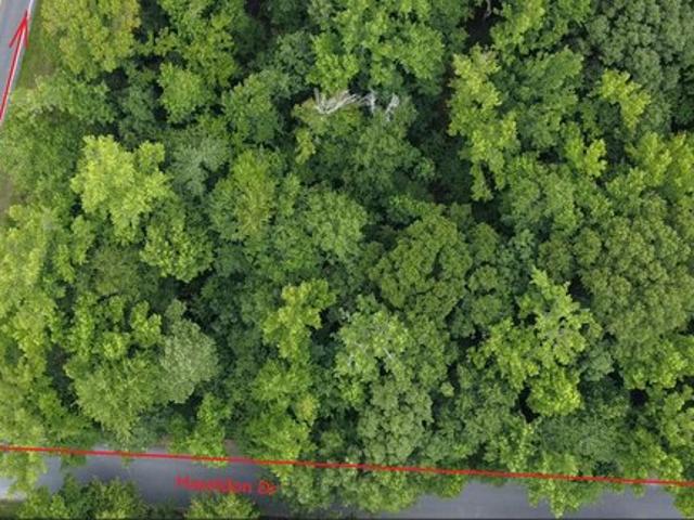 Haseldon Dr, Manning, SC 29102