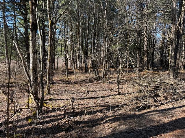 Hattie Clark Rd, Oxford, NY 13830 | MLS #R1671