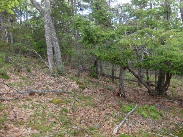 Hatchet Mountain Rd, Hope, Plot For Sale