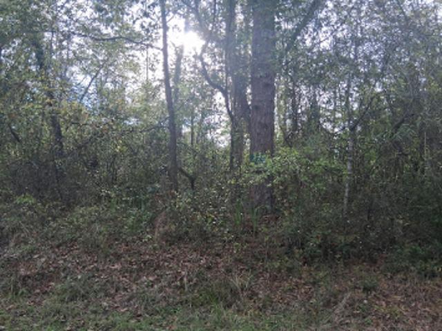 Hatchett Rd