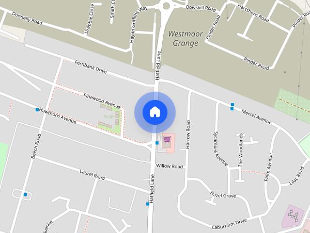 Hatfield Lane, DN3