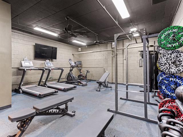 Haven on Geddes 3 Bedroom Apartment for Rent at 1700 Geddes Ave, Ann Arbor, MI 48104 Oxbridge