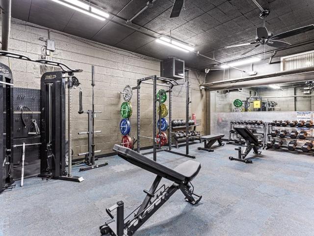 Haven on Geddes 3 Bedroom Apartment for Rent at 1700 Geddes Ave, Ann Arbor, MI 48104 Oxbridge