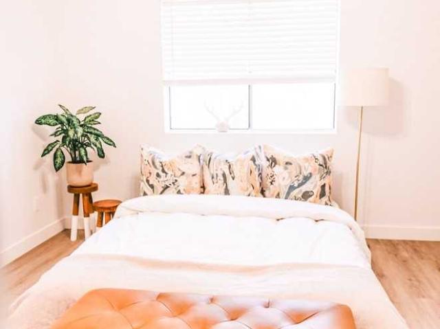 Haven Rio | Boutique Living in Mesa 1 Bedroom Apartment for Rent at 830 N Alma School Rd, Mesa, AZ 85201