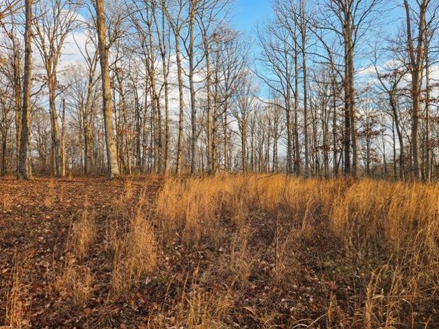 Havenwood Rd, McEwen, TN 37101