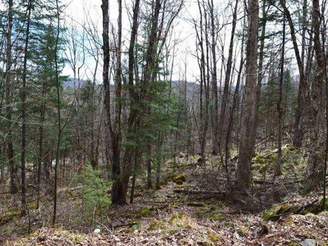 Haverhill NH 03765 103035881