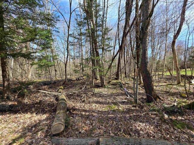 Haverhill NH 03785 102595020