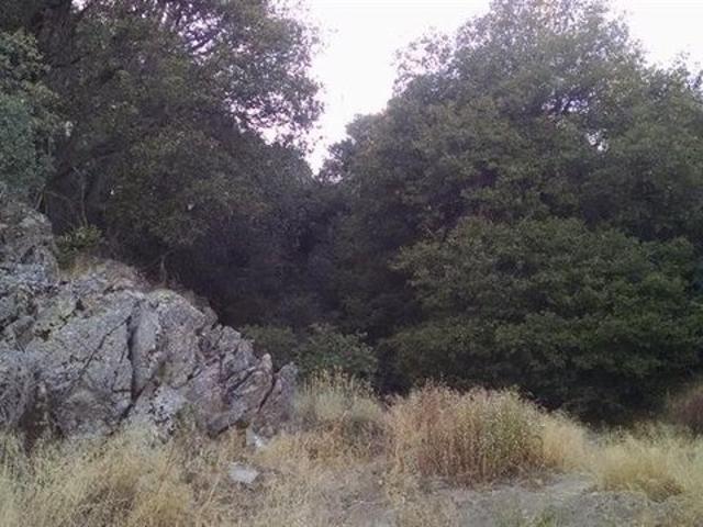 Havilah Knls, Caliente, CA 93518