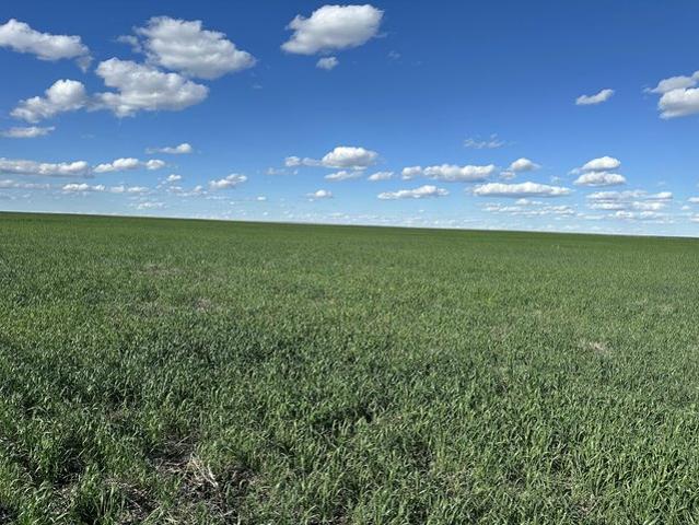 Havre, MT 59501